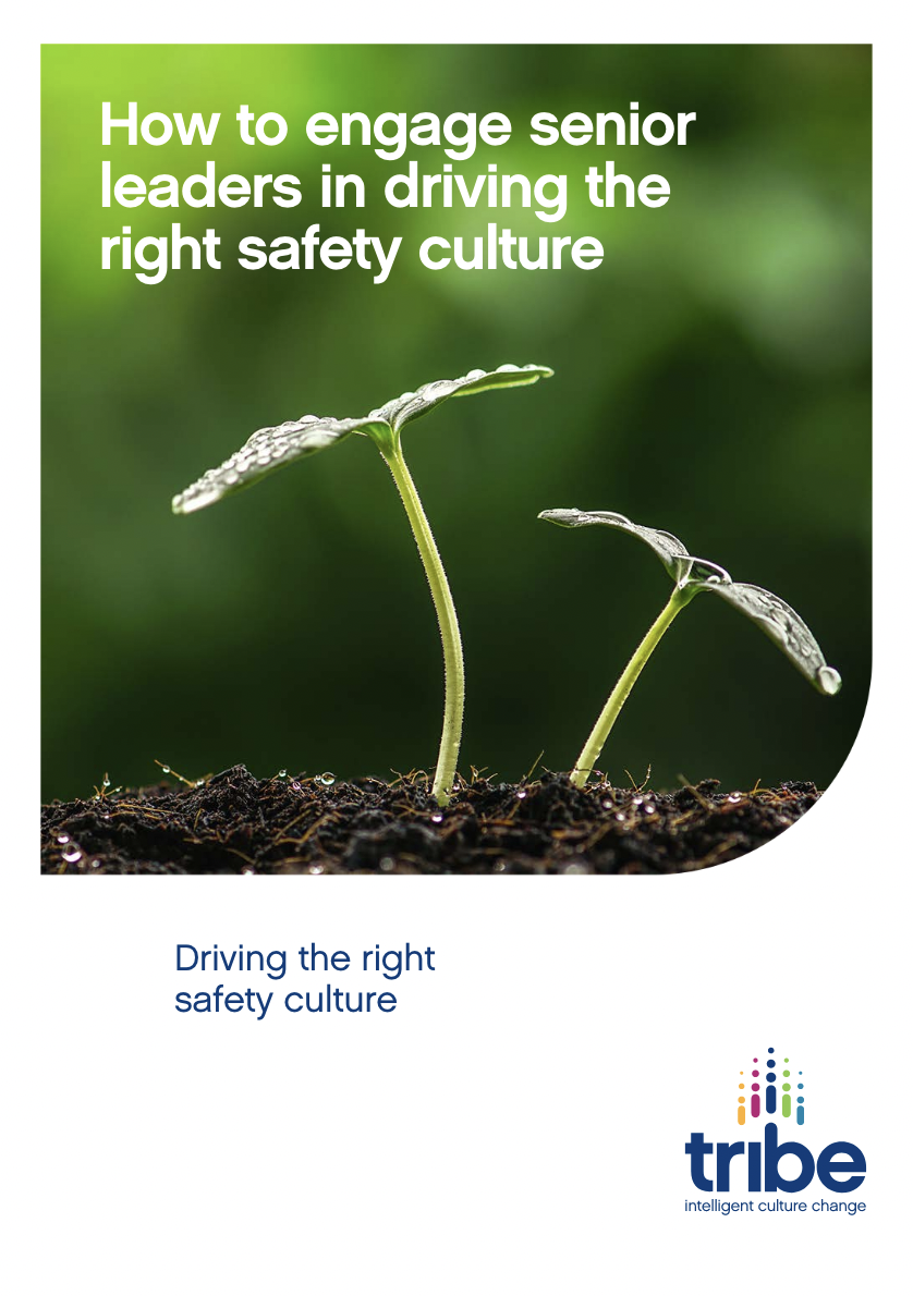 Engaging Senior Leaders in Safety Culture Guide Engaging Senior Leaders in Safety Culture Guide
